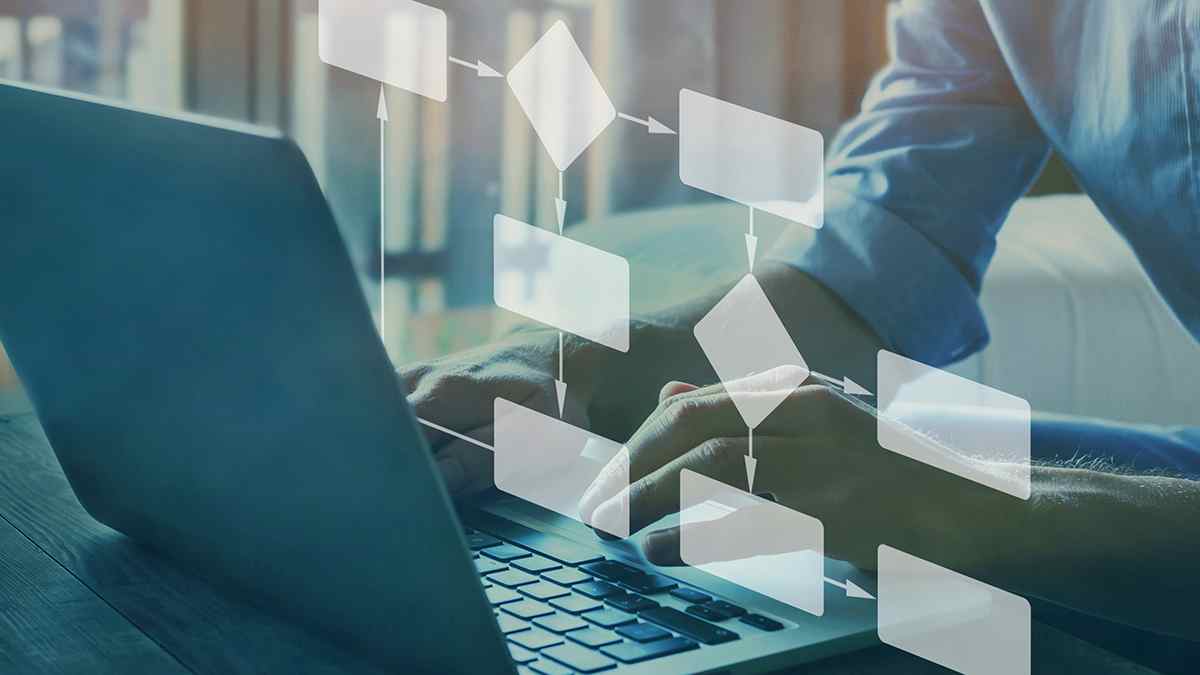 Choosing the Right Business Structure in NSW